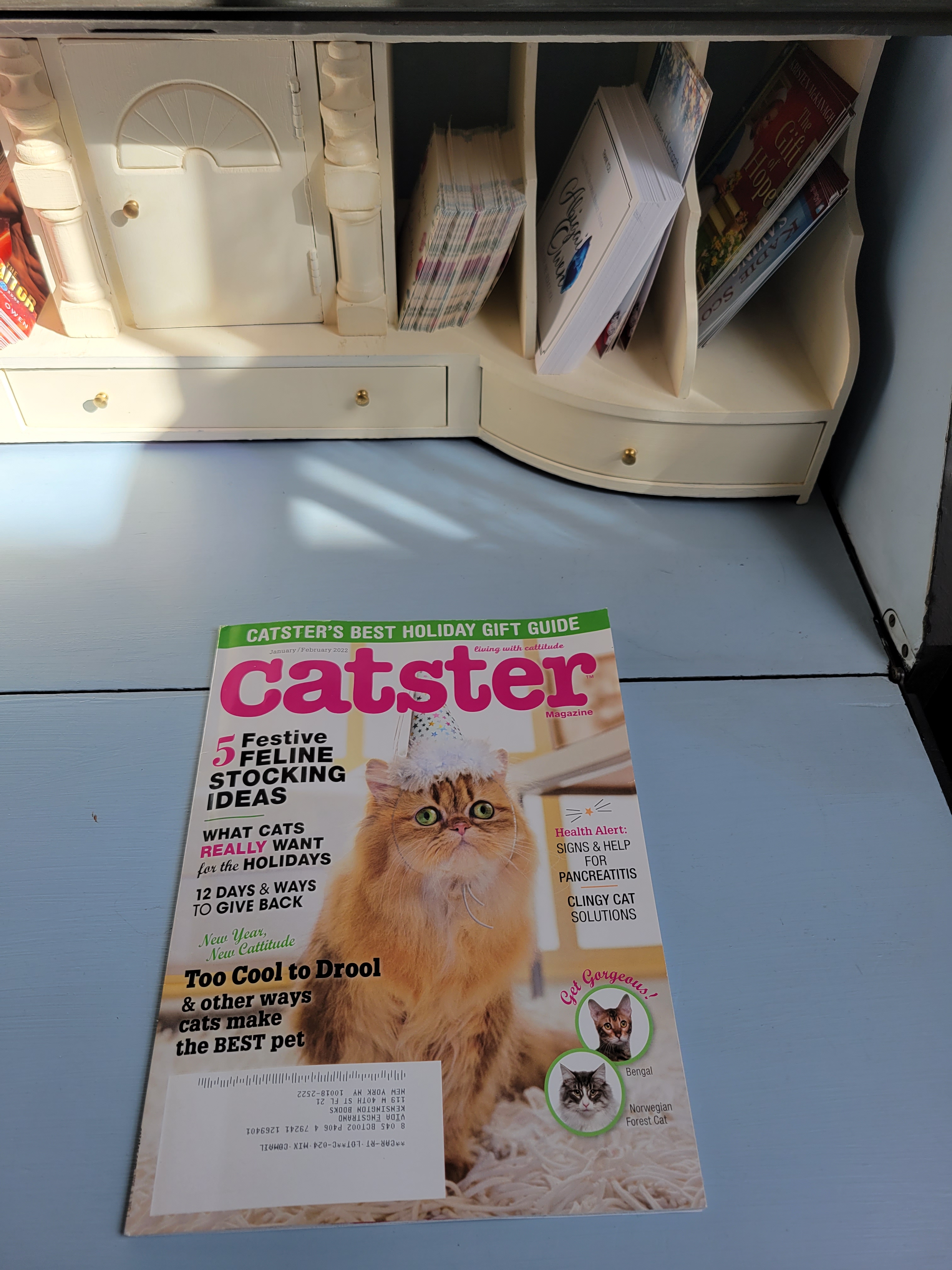 Featured in Catster Magazine | The Twelve Days of Snowball – Author ...