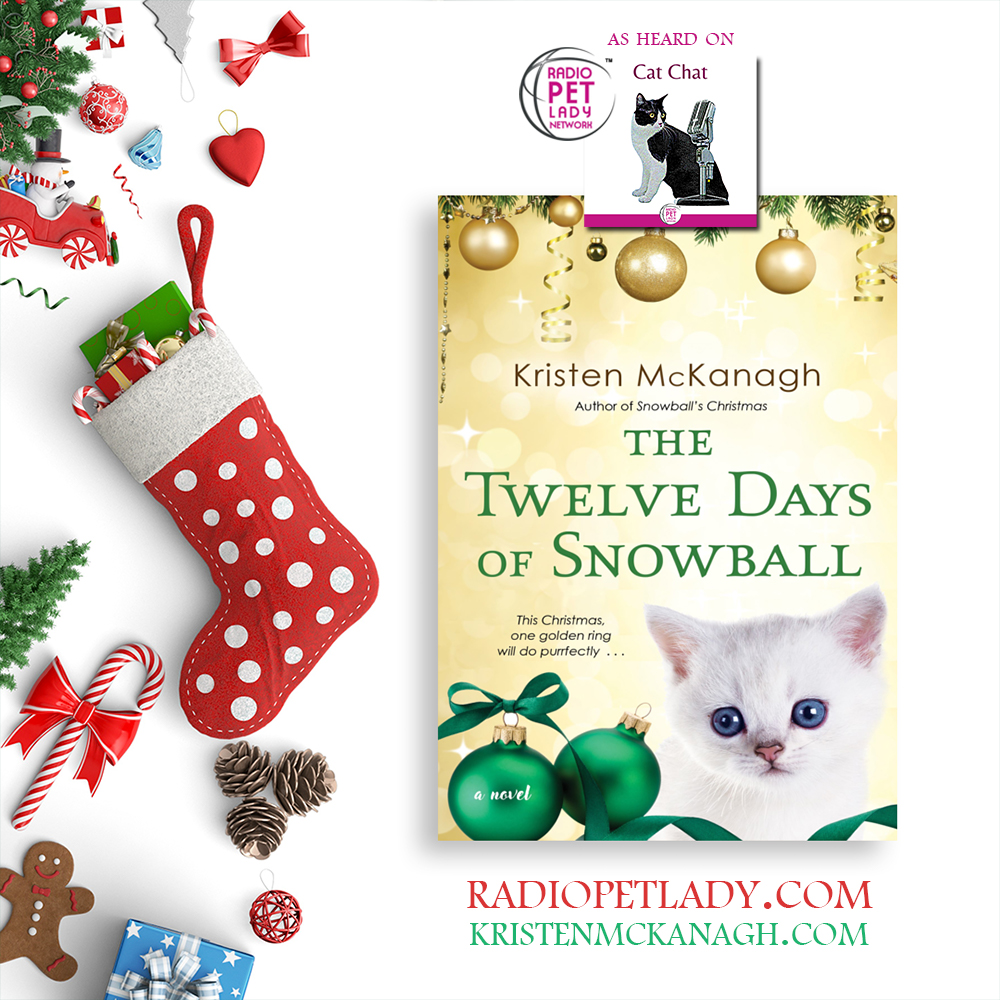 Interview on Cat Chat – Author Kristen McKanagh