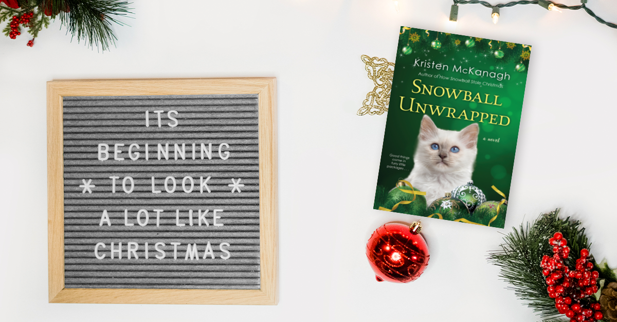 Excerpt | Snowball Unwrapped – Author Kristen McKanagh